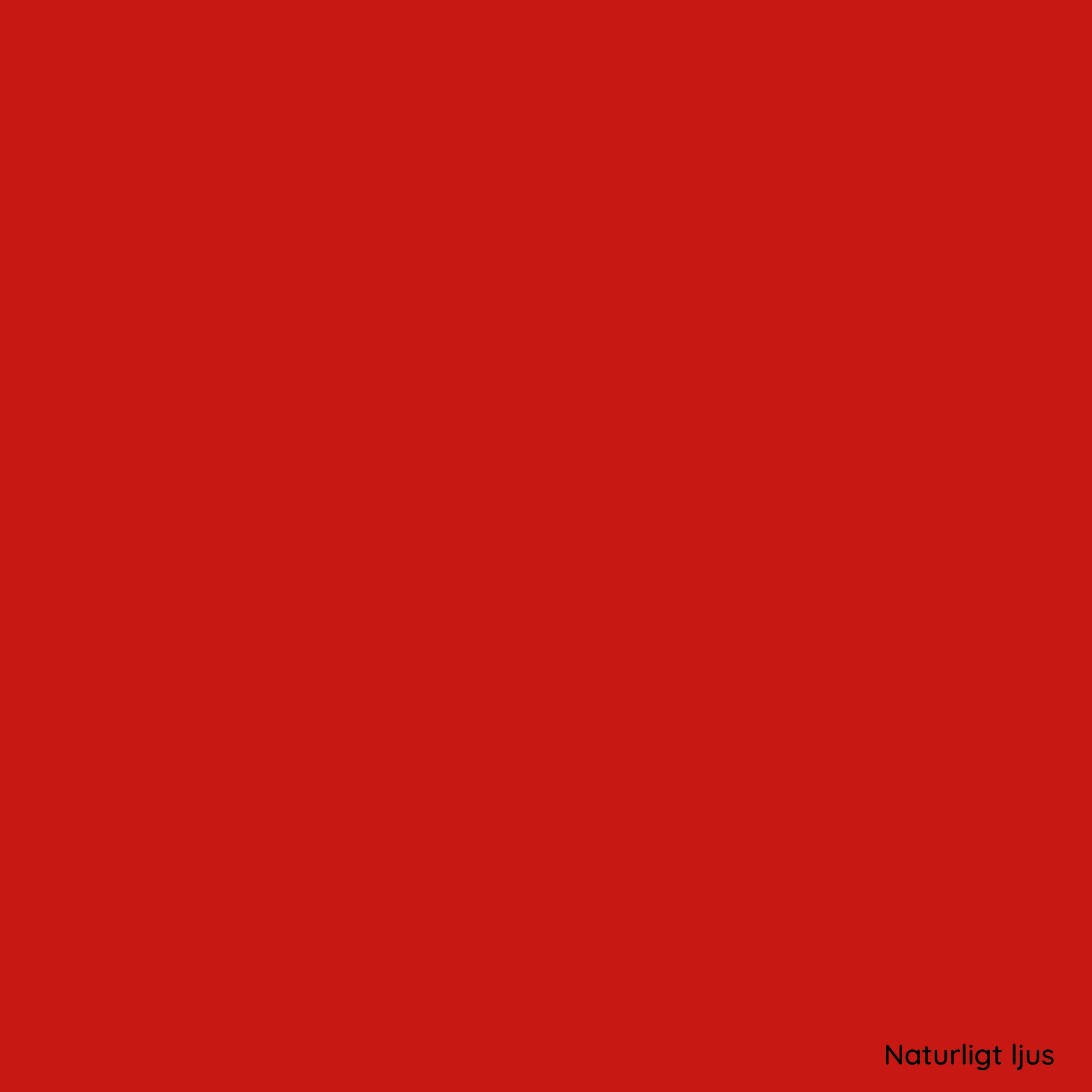 ORACAL® 8500 031 Red