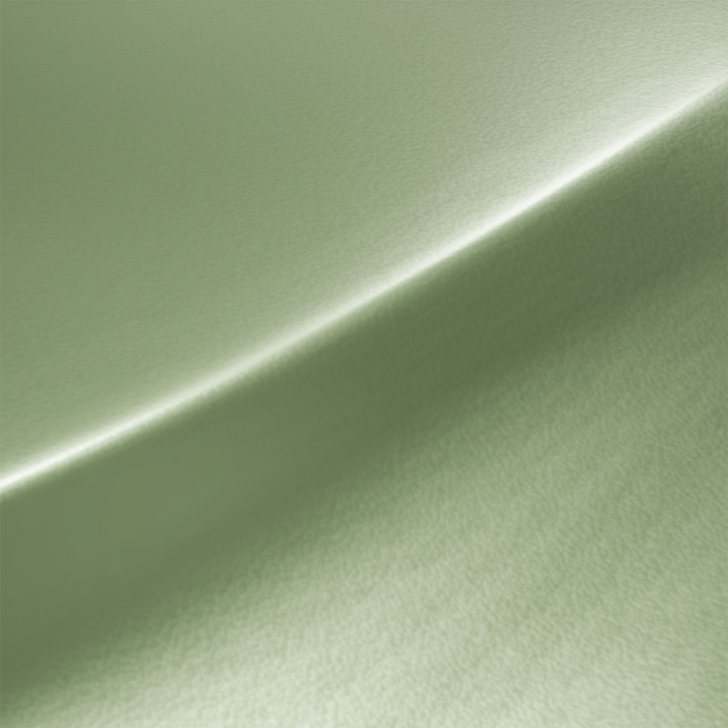 3M™ 2080-S256 Satin Komodo Green | Wrapfolie