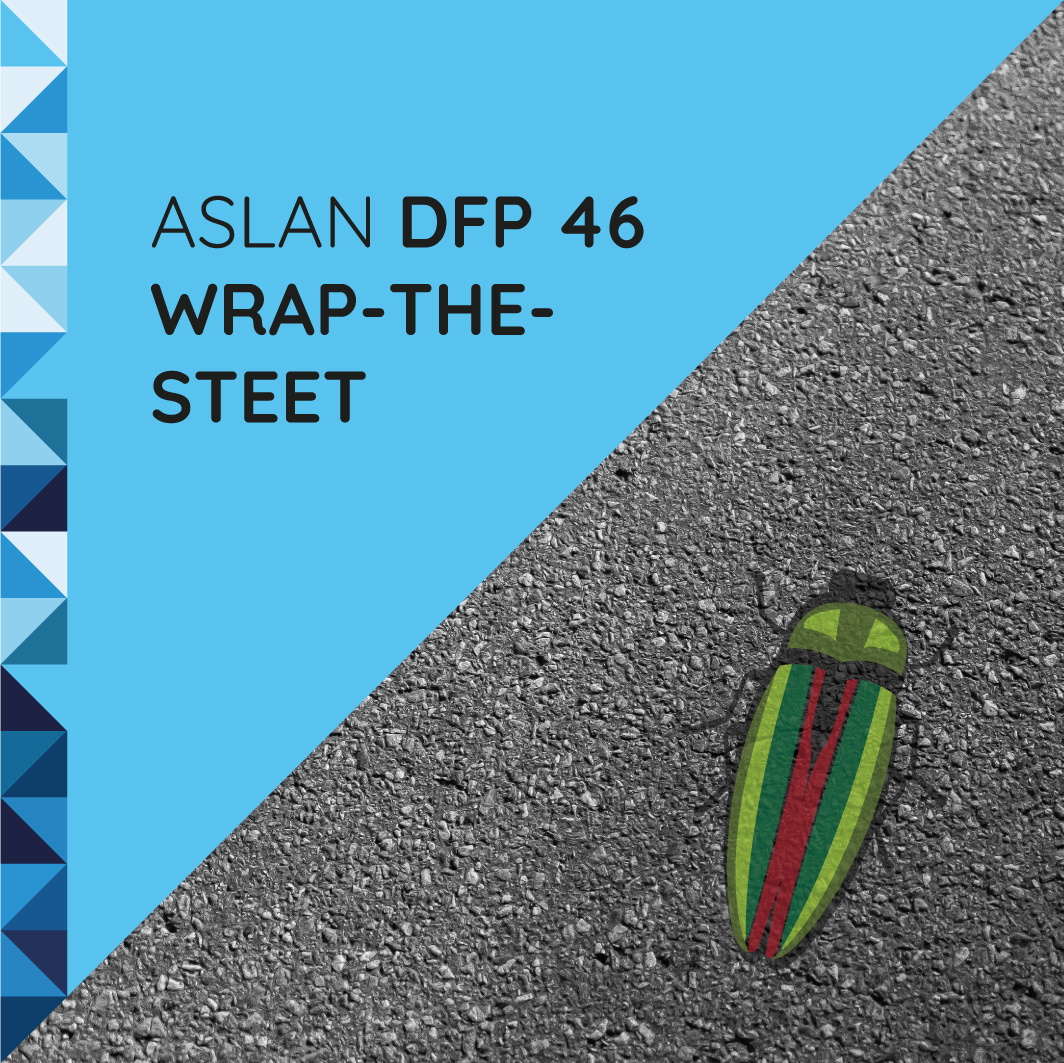 DFP 46 Wrap-the-street | Specialfolie för asfalt